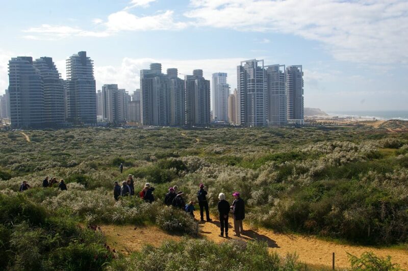 Plant-hunting and the Holy sites of Israel – Mediterranean Plants and ...