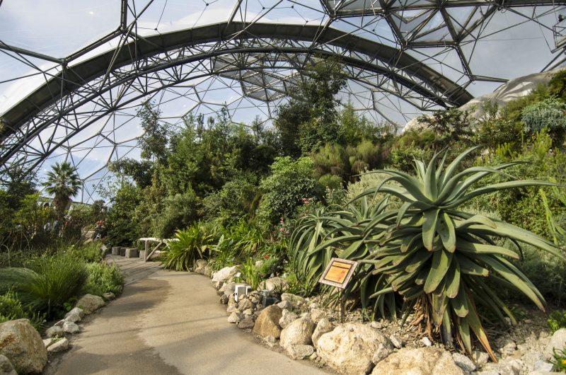 Mediterranean Biome at the Eden Project 1 Feb 2022 – Mediterranean ...